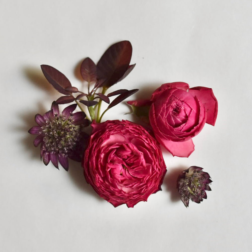 Always Flowers – always flowers