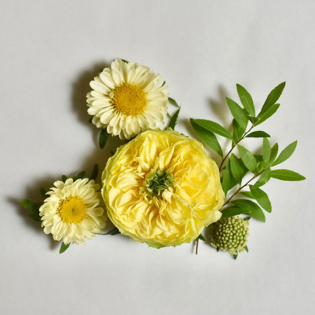 Always Flowers – always flowers