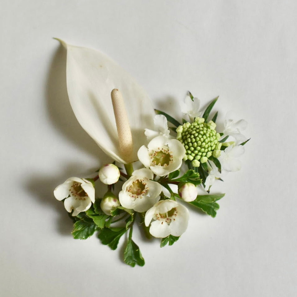 Always Flowers – always flowers