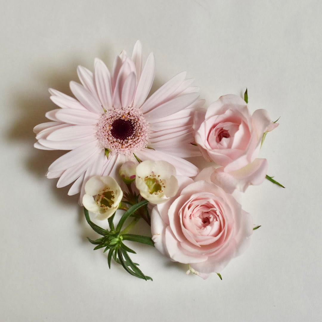 Always Flowers – always flowers